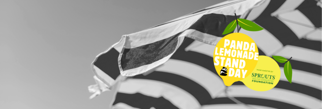 Lemonade Stand Day – PANDA